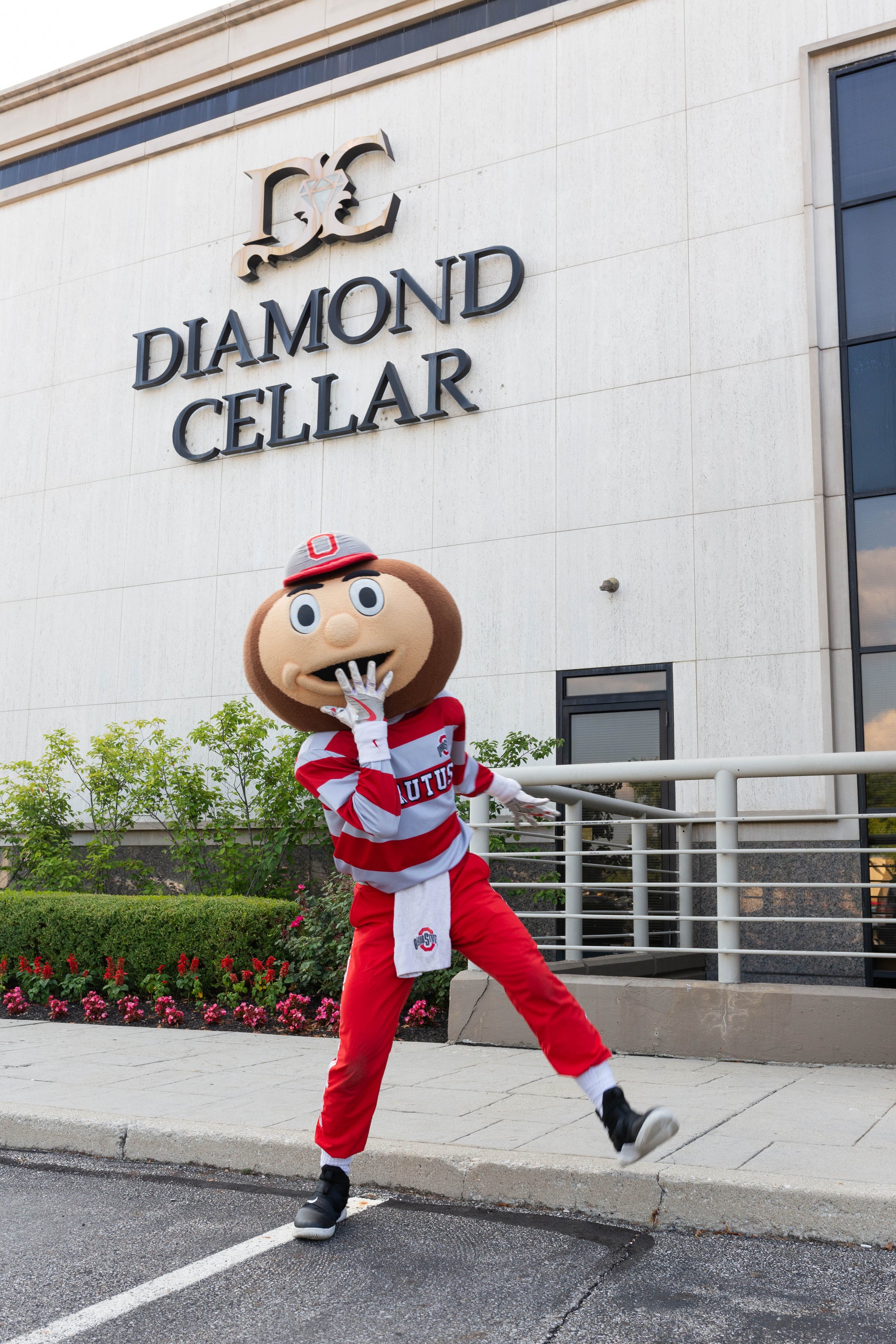 Our Story | Diamond Cellar